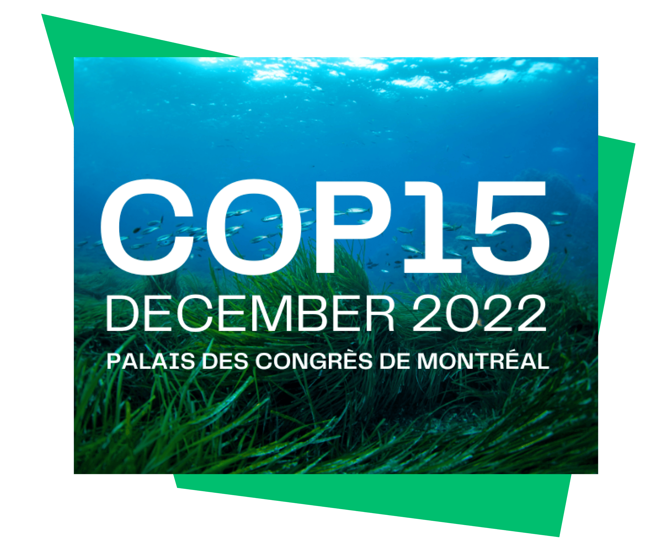 15th Conference of the Parties: Montréal welcomes the world - Montréal ...